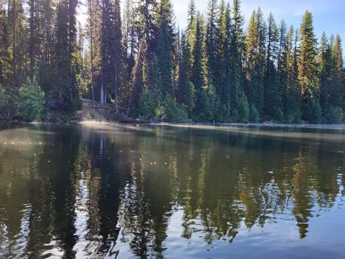 Nancy Greene Provincial Park: de beste routes om te wandelen | AllTrails