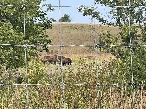 Best Hikes and Trails in Neal Smith National Wildlife Refuge | AllTrails