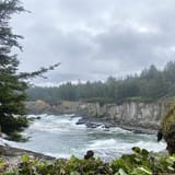 Cape Arago Loop Trail, Oregon - 278 Reviews, Map | AllTrails