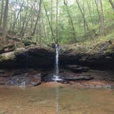 Emory Gap Falls Trail, Tennessee - 788 Reviews, Map | AllTrails