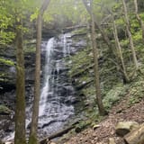 Sill Branch Falls, Tennessee - 702 Reviews, Map | AllTrails