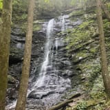 Sill Branch Falls, Tennessee - 702 Reviews, Map | AllTrails