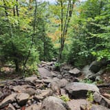 Crane Mountain Loop Hike, New York - 1,306 Reviews, Map | AllTrails