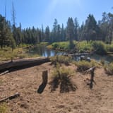 Fall River Trail, Oregon - 414 Reviews, Map | AllTrails