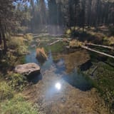 Fall River Trail, Oregon - 414 Reviews, Map | AllTrails