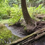 Bead Lake Trail, Washington - 601 Reviews, Map | AllTrails