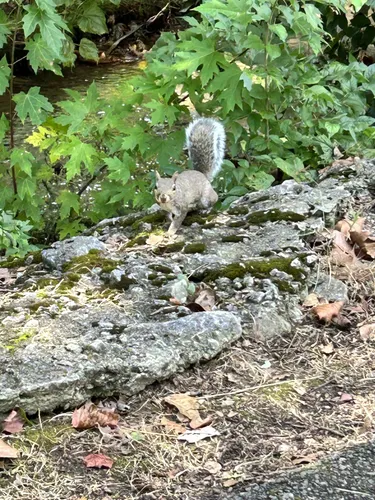 Best Hikes and Trails in Fred Miller Park | AllTrails