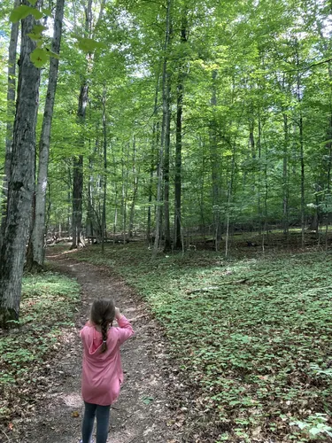 Best Hikes and Trails in Whiting Park | AllTrails