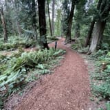 Mercer Slough Nature Park, Washington - 982 Reviews, Map | AllTrails
