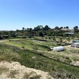 Encinitas Ranch Trail, California - 859 Reviews, Map | AllTrails