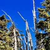 Scott Mountain Loop Trail, Oregon - 197 Reviews, Map | AllTrails