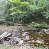 Koomer Ridge Trail, Kentucky - 597 Reviews, Map | AllTrails