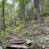 Koomer Ridge Trail, Kentucky - 597 Reviews, Map | AllTrails