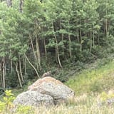 Kebler Pass Road, Colorado - 137 Reviews, Map | AllTrails