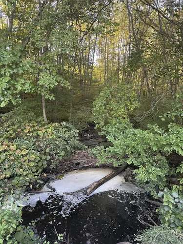 Best Hikes and Trails in Atkinson Rec Park | AllTrails