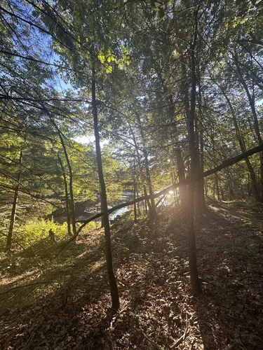 Best Hikes and Trails in Atkinson Rec Park | AllTrails