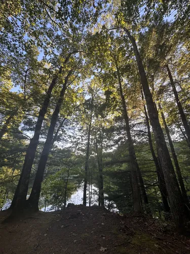 Best Hikes and Trails in Atkinson Rec Park | AllTrails