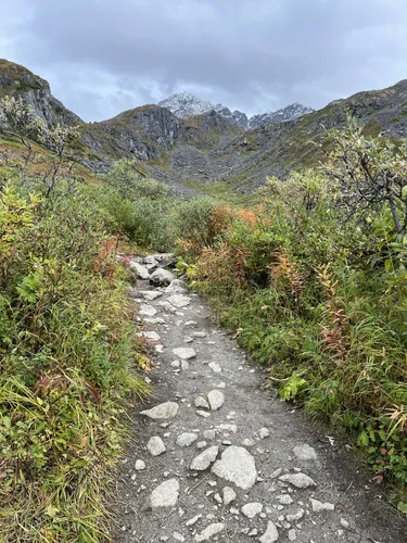 Best 10 Hikes and Trails in Hatcher Pass East Management Area | AllTrails