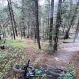 Schultz Creek Trail, Arizona - 424 Reviews, Map | AllTrails