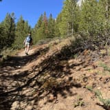 Castle Mountain Lookout Trail, Alberta, Canada - 1,767 Reviews, Map ...