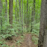 Jordan Valley Pathway, Michigan - 648 Reviews, Map | AllTrails