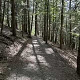 Turkey Path, Pennsylvania - 573 Reviews, Map | AllTrails