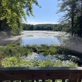 Grater Woods Loop, New Hampshire - 236 Reviews, Map | AllTrails