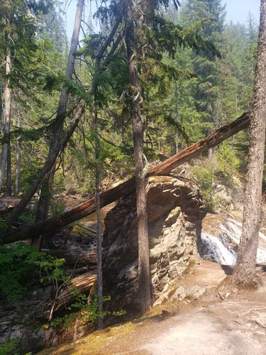 Best Hikes and Trails in Shuswap Lake Provincial Park | AllTrails