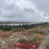 Curry Ridge Trail, Alaska - 756 Reviews, Map | AllTrails