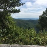 Wiseman's View Trail, North Carolina - 444 Reviews, Map | AllTrails