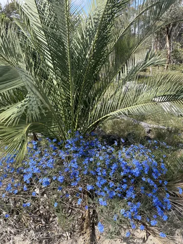Best Hikes and Trails in Wandoo National Park | AllTrails