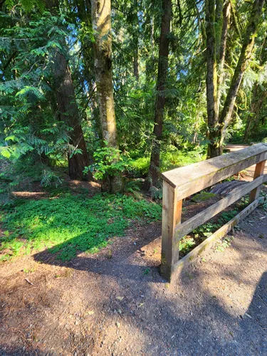 2023 Best Wild Flowers Trails in Sandy | AllTrails