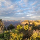 Bright Angel Point Trail, Arizona - 1,289 Reviews, Map | AllTrails