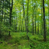 Penokee Mountain Range Overlook, Wisconsin - 22 Reviews, Map | AllTrails