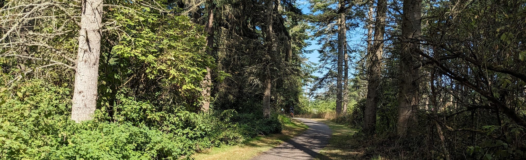 Robin Hill Park, Washington - 210 Reviews, Map | AllTrails