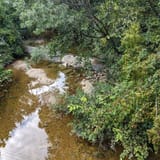 Acorn Trail, Missouri - 104 Reviews, Map | AllTrails