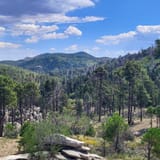 Mint Spring, Marshall Gulch, Sabino Canyon Loop, Arizona - 220 Reviews ...