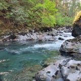 Duckabush River Trail to Five Mile Camp, Washington - 804 Reviews, Map ...
