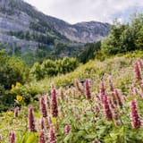 Scout Falls via Mount Timpanogos Trail, Utah - 2,155 Reviews, Map ...