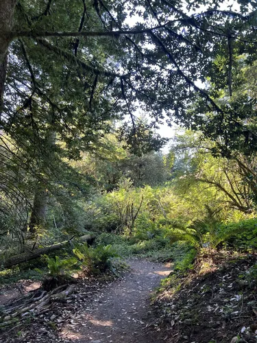 2023 Best River Trails in Woodside | AllTrails