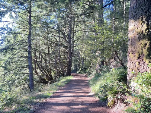 2023 Best River Trails in Woodside | AllTrails