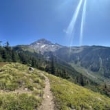 Timberline Trail Around Mount Hood, Oregon - 1,166 Reviews, Map | AllTrails