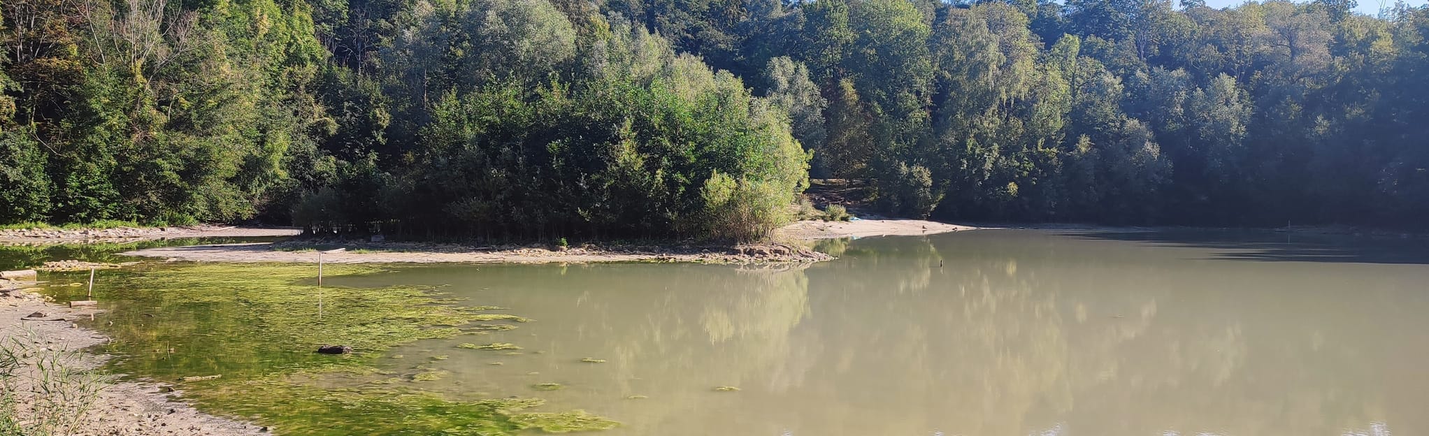 Carnelle Forest - Blue Lake and Le Petit Etang: 15 Reviews, Map - Val-d ...