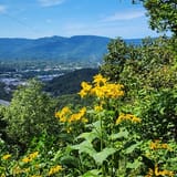 Tri-State Peak Trail, Tennessee - 846 Reviews, Map | AllTrails