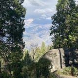 Boole Tree Loop, California - 194 Reviews, Map | AllTrails