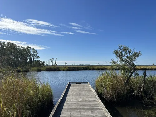 Best Hikes and Trails in Goose Creek State Park | AllTrails