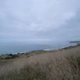 Corral Canyon Loop, California - 1,589 Reviews, Map | AllTrails