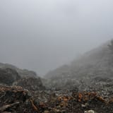 Dunraven Pass to Mount Washburn, Montana - 1,448 Reviews, Map | AllTrails