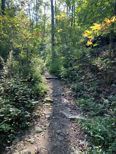 Best Hikes and Trails in Edwin Warner Park | AllTrails