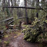 Storm Point Loop, Montana - 915 Reviews, Map | AllTrails